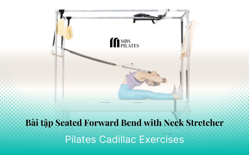 Bài tập Pilates Seated Forward Bend with Neck Stretcher trên Cadillac ...