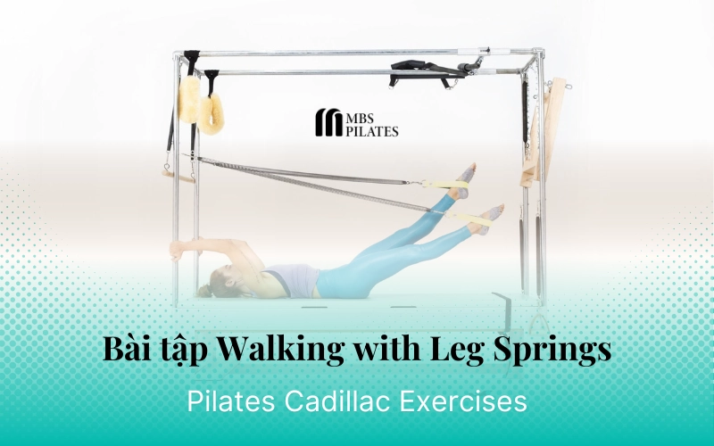 Bài tập Pilates Walking with Leg Springs trên Cadillac - MBS Pilates